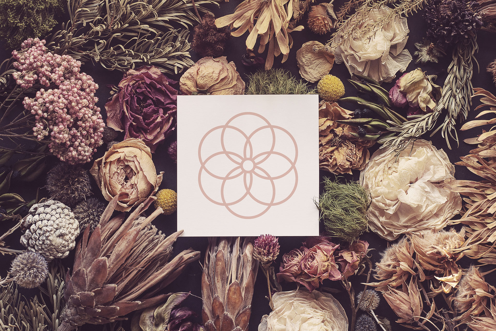 Bloom Bloom shake shake the room | Potting Shed