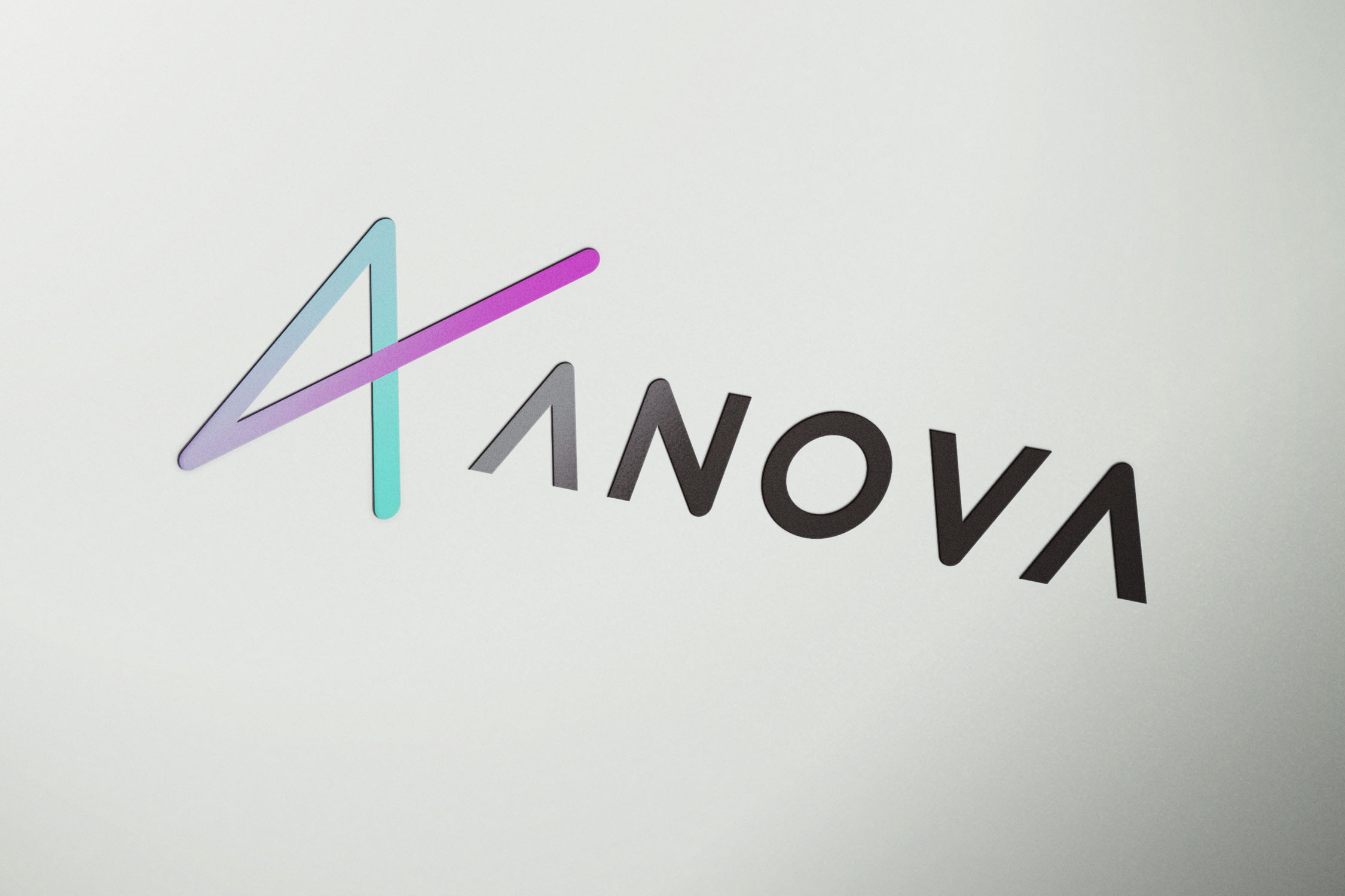 Anova great brand | Potting Shed